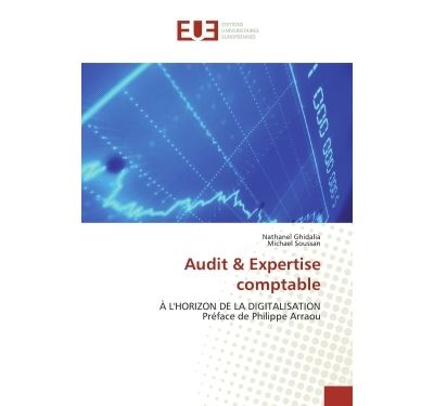 Audit & Expertise comptable À L'HORIZON DE LA DIGITALISATION Préface de Philippe Arraou - broché ...