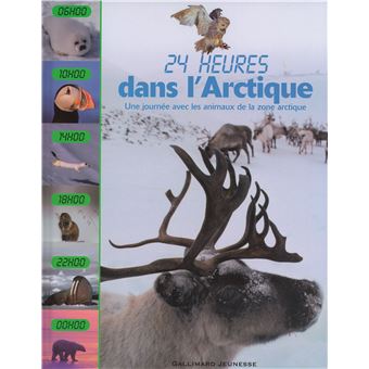 Dans l'Arctique une journée avec les animaux de la zone arctique Une ...