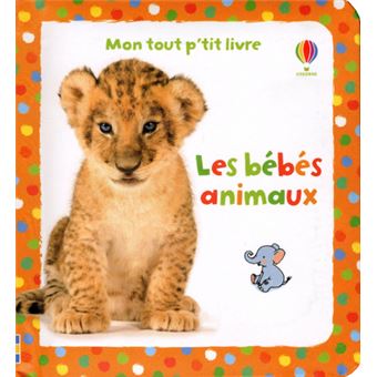 Les bébés animaux - Mon tout premier livre - cartonné - Rebecca Finn ...