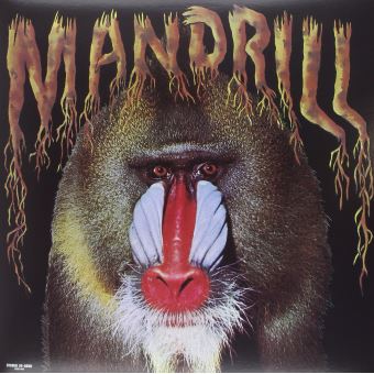 Mandrill - Mandrill - Vinyle album - Achat & prix | fnac