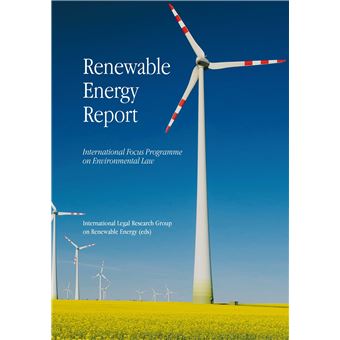 Renewable Energy Report International Focus Programme on Environmental ...