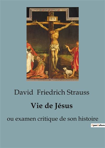 Vie de Jésus Ou examen critique de son histoire - broché - David ...