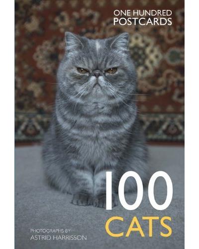 100 cats in a box - broché - Astrid Harrisson - Achat Livre | fnac