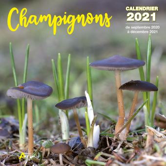 Calendrier Champignons 2021 - broché - Benoît Peyre - Achat Livre | fnac