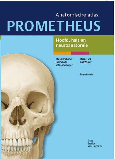 Prometheus anatomische atlas - Hoofd, hals en neuroanatomie - Michael ...