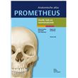 Prometheus anatomische atlas - Hoofd, hals en neuroanatomie - Michael ...