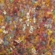 Tree City Sessions - Dance Gavin Dance - CD album - Achat & prix | fnac