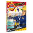 Sam le pompier Sam le pompier Volume 15 Anniversaire de Sam DVD - DVD ...