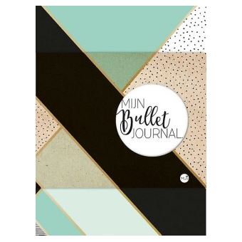 Mijn Bullet Journal - mint & goud - broché - Nicole Neven - Achat Livre ...