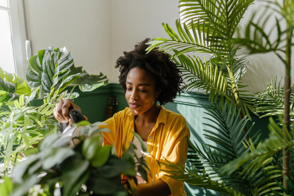 Slow Living: o que é e como pôr em prática - Recomendações Expert Fnac