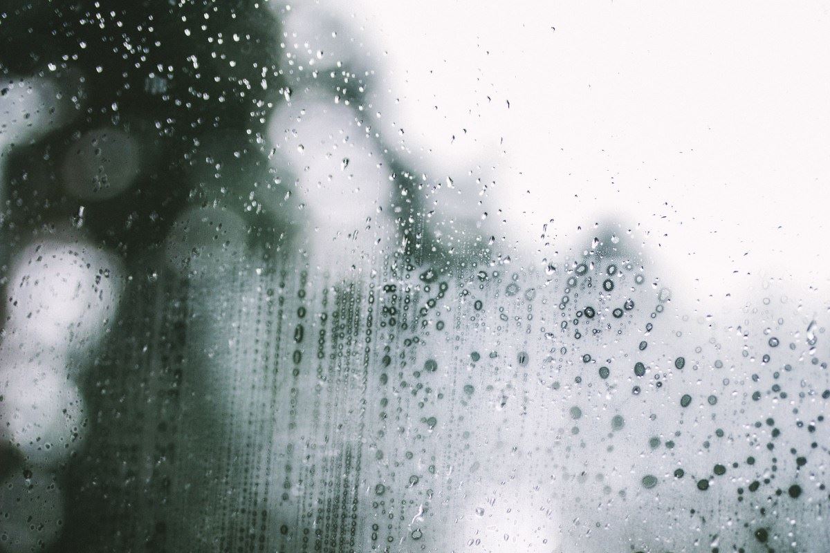 Dicas para uma casa sem humidade - Recomendações Expert Fnac