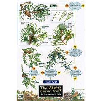 Tree Name Trail Jonathan Oldham - Mapas - Jonathan Oldham - Compra ...