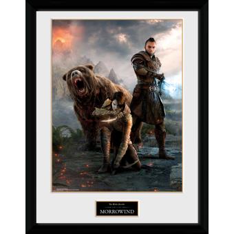 Poster GB Posters Elder Scrolls Online Morrowind Trio 30 x 40 cm ...