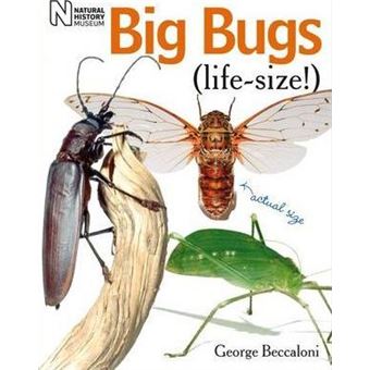 Big Bugs Life-Size George Beccaloni - Capa Mole / Paperback - George ...
