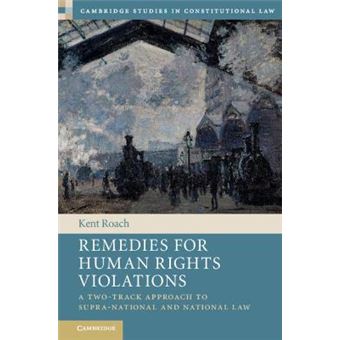 Remedies For Human Rights Violations A Twotrack Approach To ...