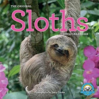 Original Sloths Wall Calendar 2024 By Workman Calendars Workman ...