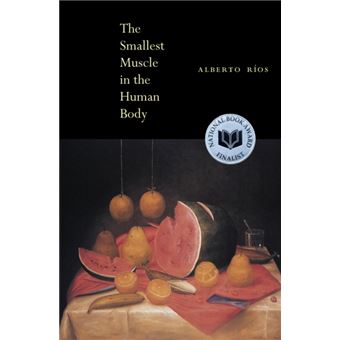 The Smallest Muscle In The Human Body Alberto Ros - Capa Mole ...