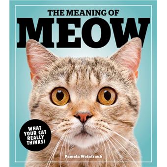 The Meaning Of Meow : What Your Cat Really Thinks! - Brochado - Pamela ...