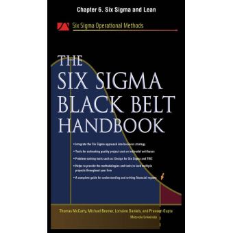 The Six Sigma Black Belt Handbook, Chapter 6 - Six Sigma and Lean ...