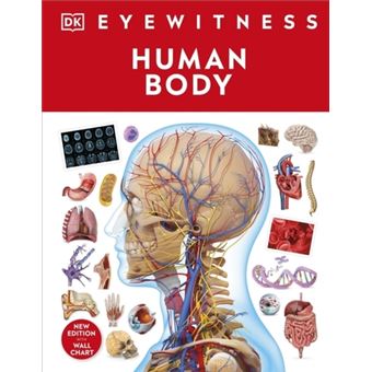 Human Body - Cartonado - Dorling Kindersley - Compra Livros ou ebook na ...
