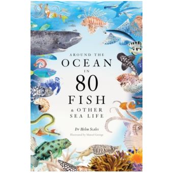 Around the Ocean In 80 Fish and Other Sea Life - Cartonado - Marcel ...