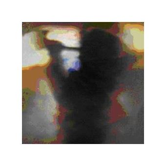 Animal Collective - Fall Be Kind (EP) - CD Álbum - Compra música na Fnac.pt