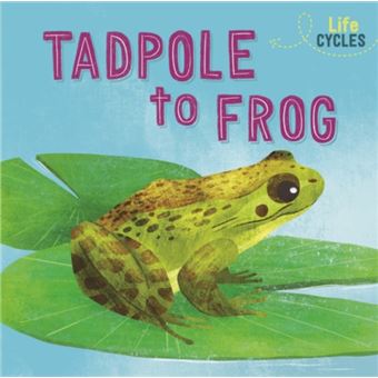 Life Cycles From Tadpole to Frog by Rachel Tonkin Rachel Tonkin ...