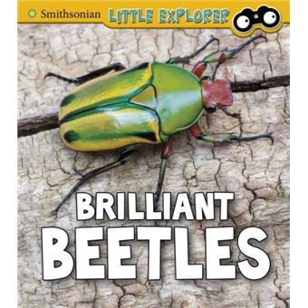 Brilliant Beetles by Melissa Higgins Melissa Higgins - broché - Melissa ...
