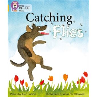 Catching Flies by June Crebbin Inconnu - broché - Inconnu - Achat Livre ...