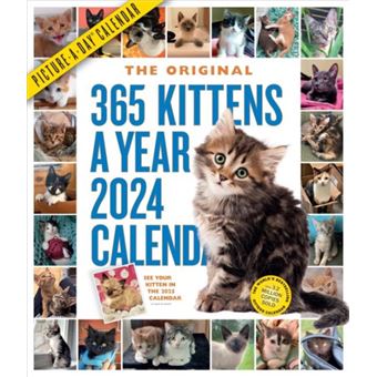 365 KittensAYear PictureADay Wall Calendar 2024 by Workman Calendars ...