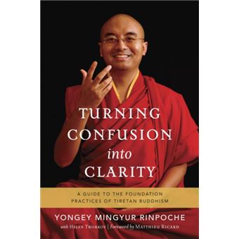 Turning Confusion into Clarity by Helen Tworkov Yongey Mingyur - broché ...