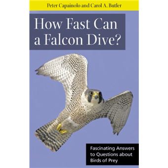 How Fast Can A Falcon Dive by Carol A Butler - broché - Achat Livre | fnac