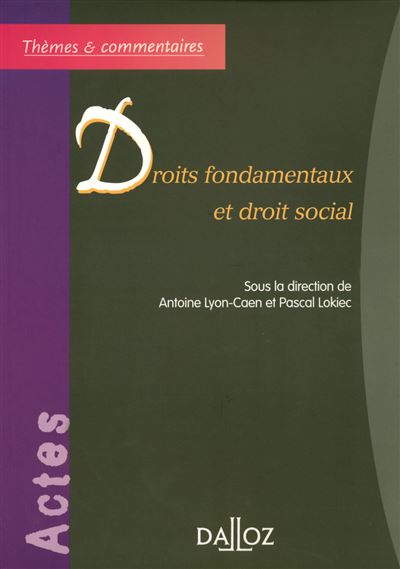 Droits fondamentaux et droit social Thèmes et commentaires - broché - Antoine Lyon-Caen, Pascal ...