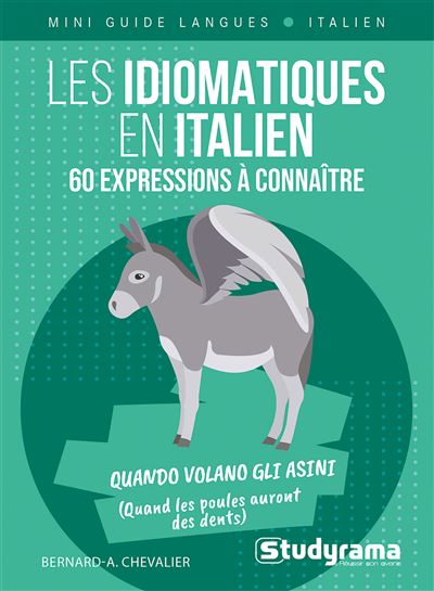 Les idiomatiques en italien – 60 expressions à connaître - broché ...