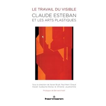 Le travail du visible Claude Esteban et les arts plastiques - broché ...