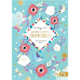 Mon agenda 2019-2020 à colorier - broché - Marie-Rose Boisson, Lili La ...