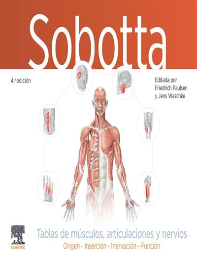 Sobotta. Tablas de músculos, articulaciones y nervios - ebook (ePub ...
