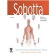 Sobotta. Tablas de músculos, articulaciones y nervios - ebook (ePub ...