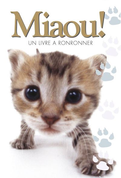 Miaou - cartonné - Exley - Achat Livre | fnac