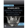 Wheeler's Dental Anatomy, Physiology and Occlusion - E-Book Wheeler's ...