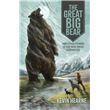 The Great Big Bear and Other Stories of the Iron Druid Chronicles ...