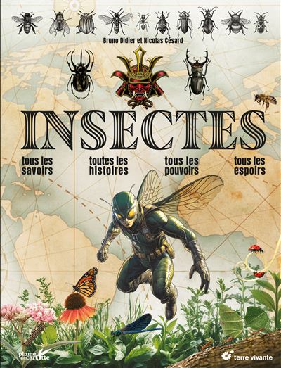 Insectes Tous les savoirs, toutes les histoires, tous les pouvoirs ...
