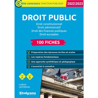Droit public – 100 fiches Droit constitutionnel, droit administratif, droit des finances ...