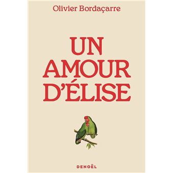 Un amour d'Élise - broché - Olivier Bordaçarre - Achat Livre ou ebook ...