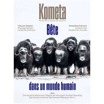 Kometa 10 - Etre bête dans un monde humain - broché - Léna Mauger ...