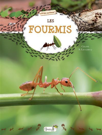 Les fourmis - cartonné - Céline S. Leclercq - Achat Livre | fnac
