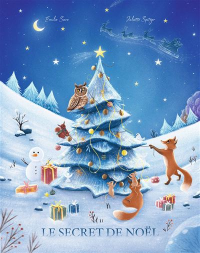 Le Secret de Noël - cartonné - Emilie Save, Juliette Spitzer - Achat ...