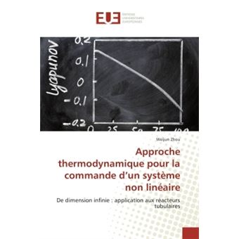 Approche thermodynamique pour la commande d'un systeme non lineaire De dimension infinie ...