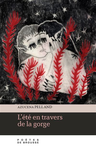 L’ete en travers de la gorge - ebook (ePub) - Azucena Pelland - Achat ...