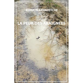 La Peur des Araignées - broché - Romain Aphecetche - Achat Livre | fnac